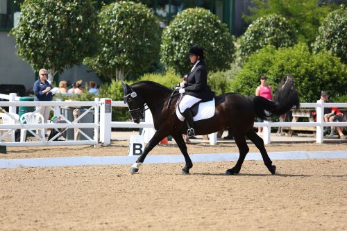 Dressage - Riding for the Disabled Association (RDA)