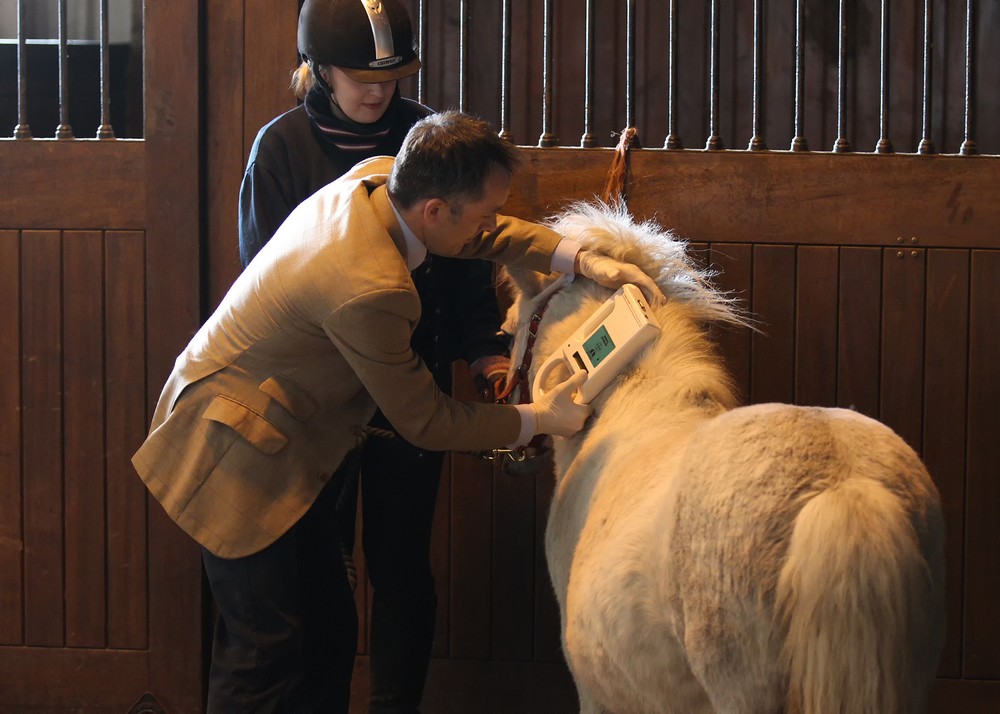 Support & Guidance - Riding for the Disabled Association (RDA)