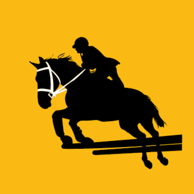 Showjumping - Riding for the Disabled Association (RDA)