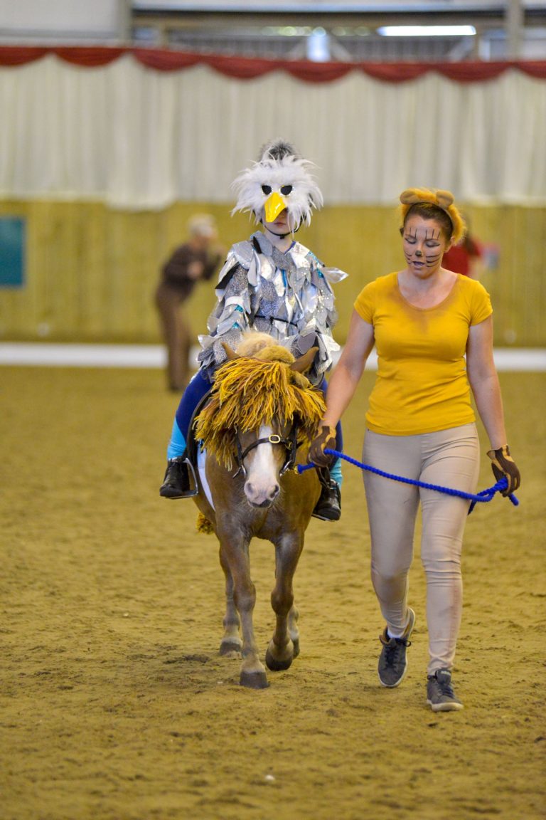 Dressage - Riding for the Disabled Association (RDA)