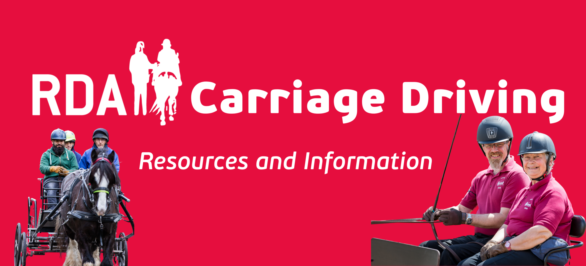 Carriage Driving - Riding for the Disabled Association (RDA)