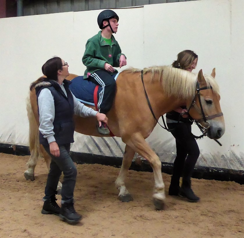 Therapy & Medical Module - Riding for the Disabled Association (RDA)